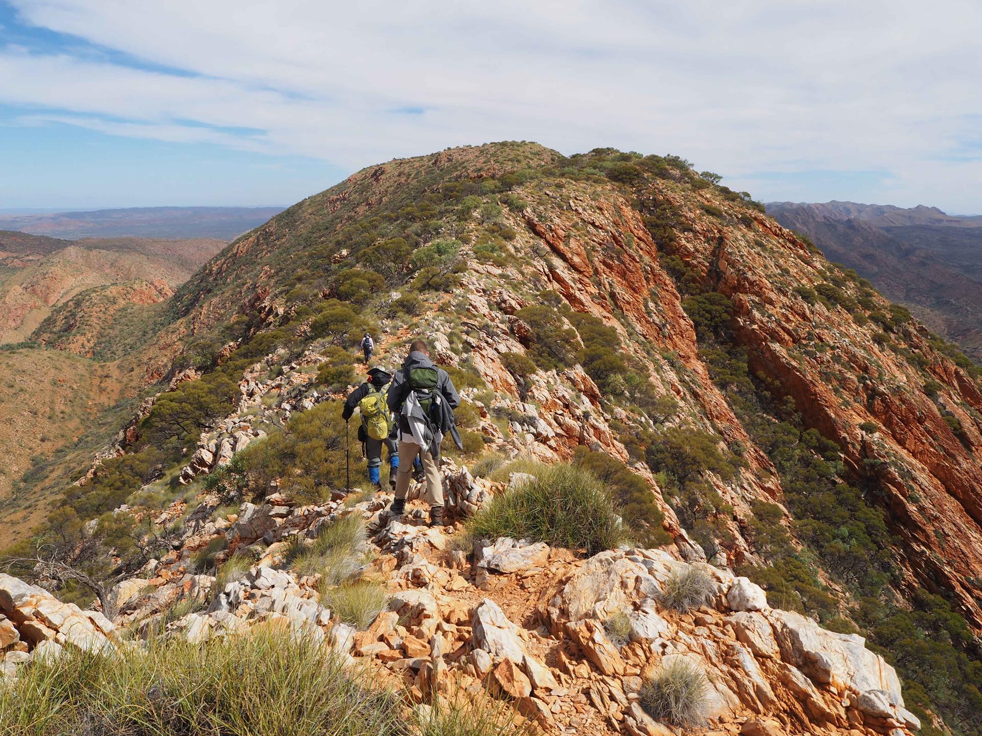 Larapinta Trail Walk Blog | Larapinta End to End: a trekkers pers